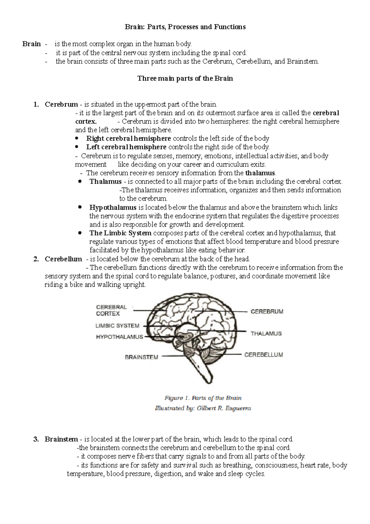 Lecture - Brain: Parts, Processes and Functions Brain - is the most ...