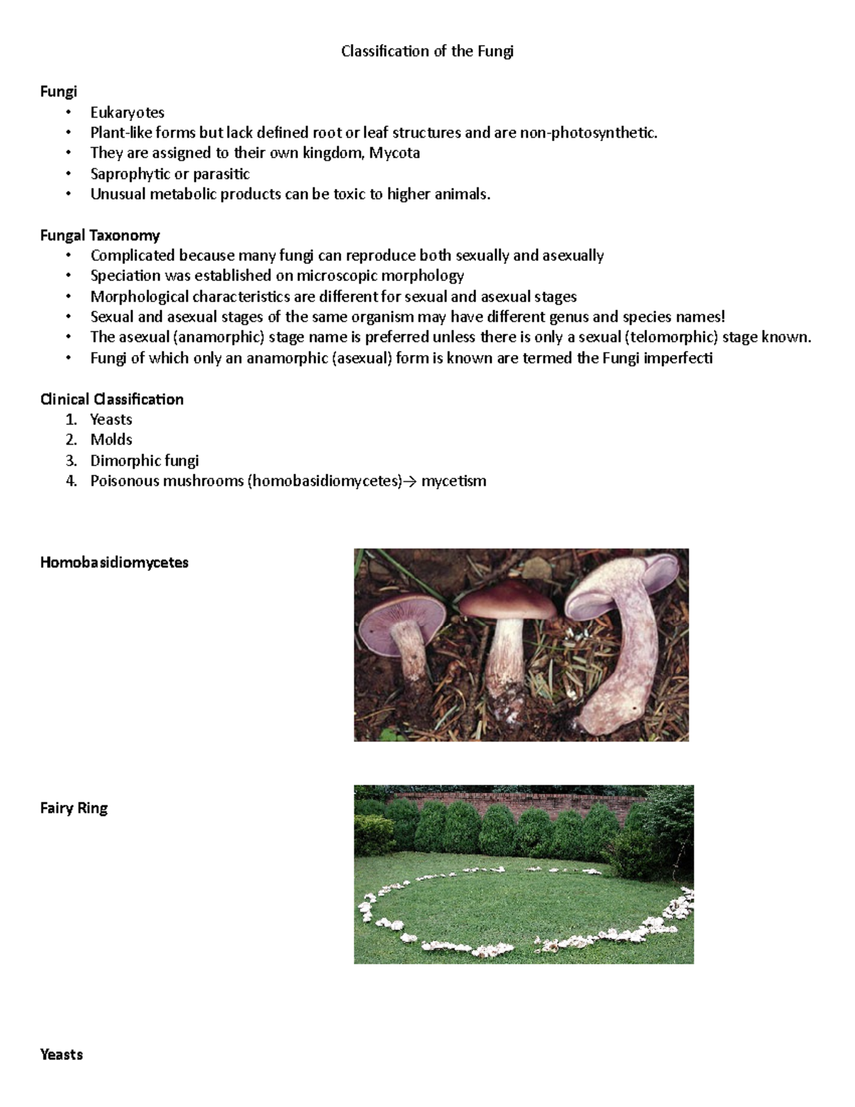 Classification of the Fungi - Fungal Taxonomy Complicated because many ...