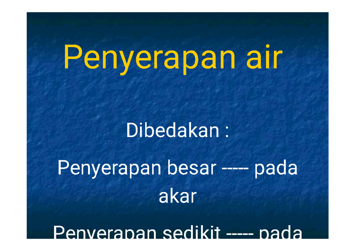 2. Fistum 2 Air dan Lingkungan - Penyerapan air Dibedakan : Penyerapan ...