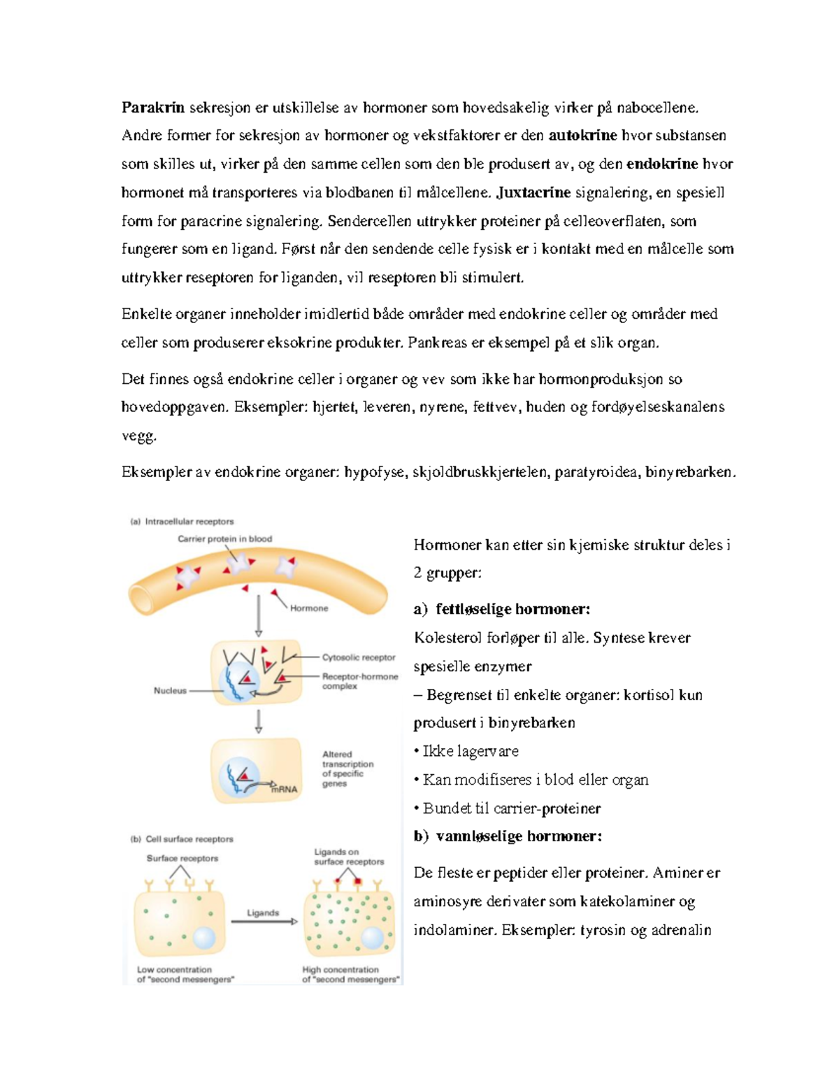 Mine notater endokrinologi - Parakrin sekresjon er utskillelse av ...