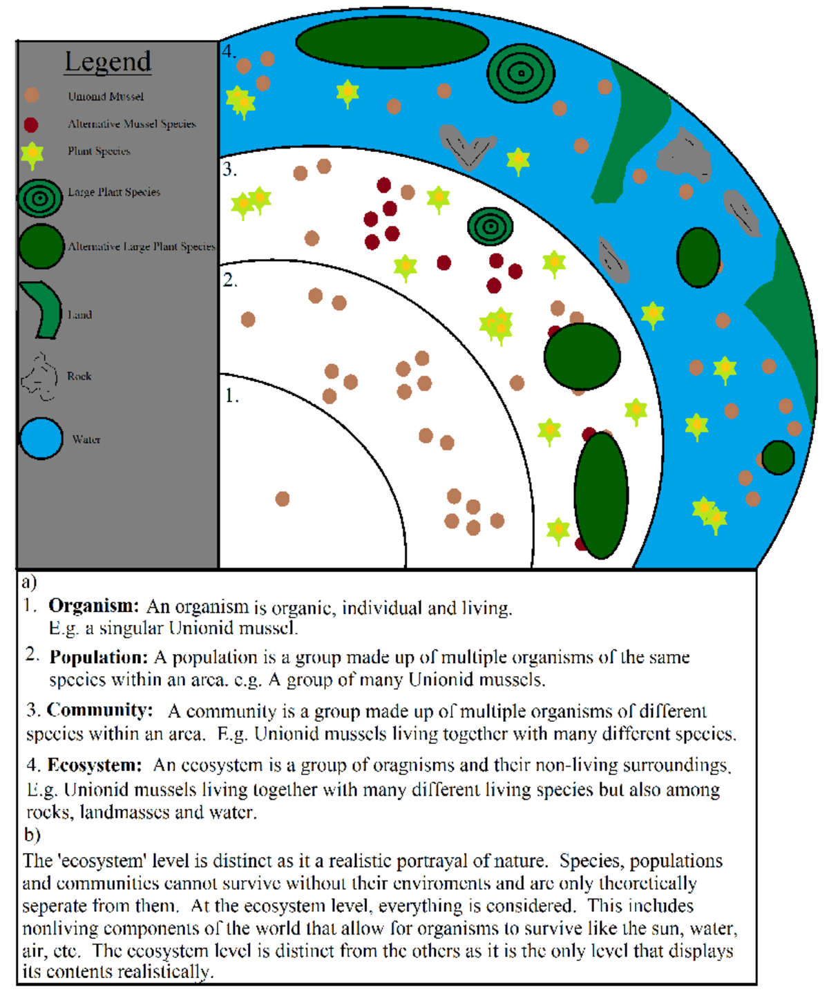 Biological Organization Levels Graphic - BIOL1070 - StuDocu