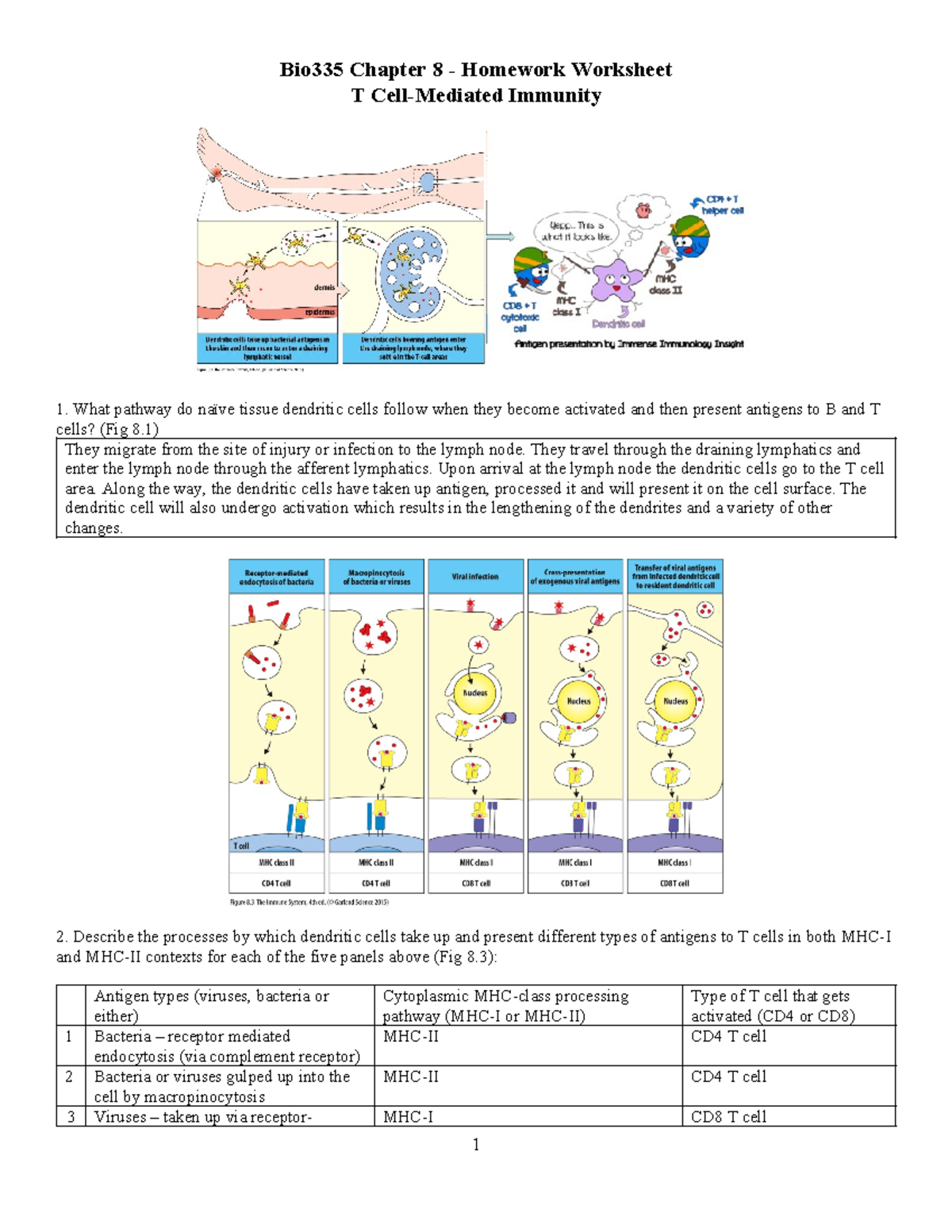 Bio335 Chapter 8 - Key for Homework Worksheet - T Cell-Mediated ...