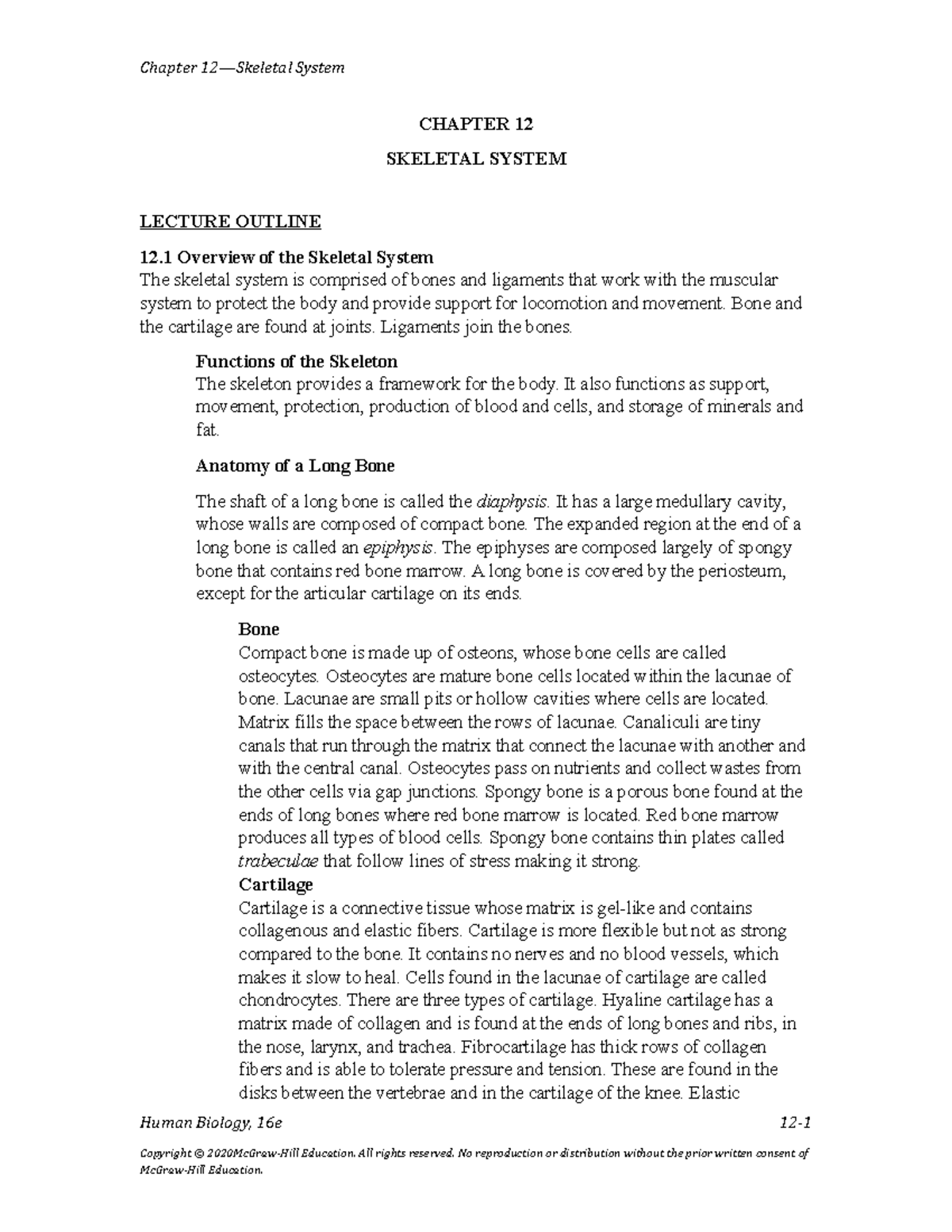 Skeletal Notes CHAPTER 12 SKELETAL SYSTEM LECTURE OUTLINE 12 Overview