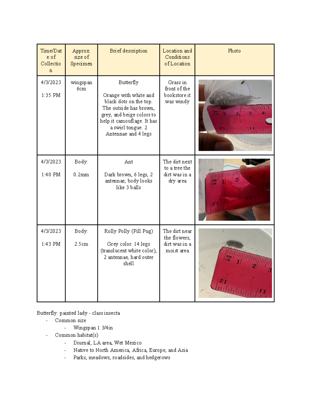 SCED 401 LAB Stuff - Notes and pictures of all the lab assignments ...