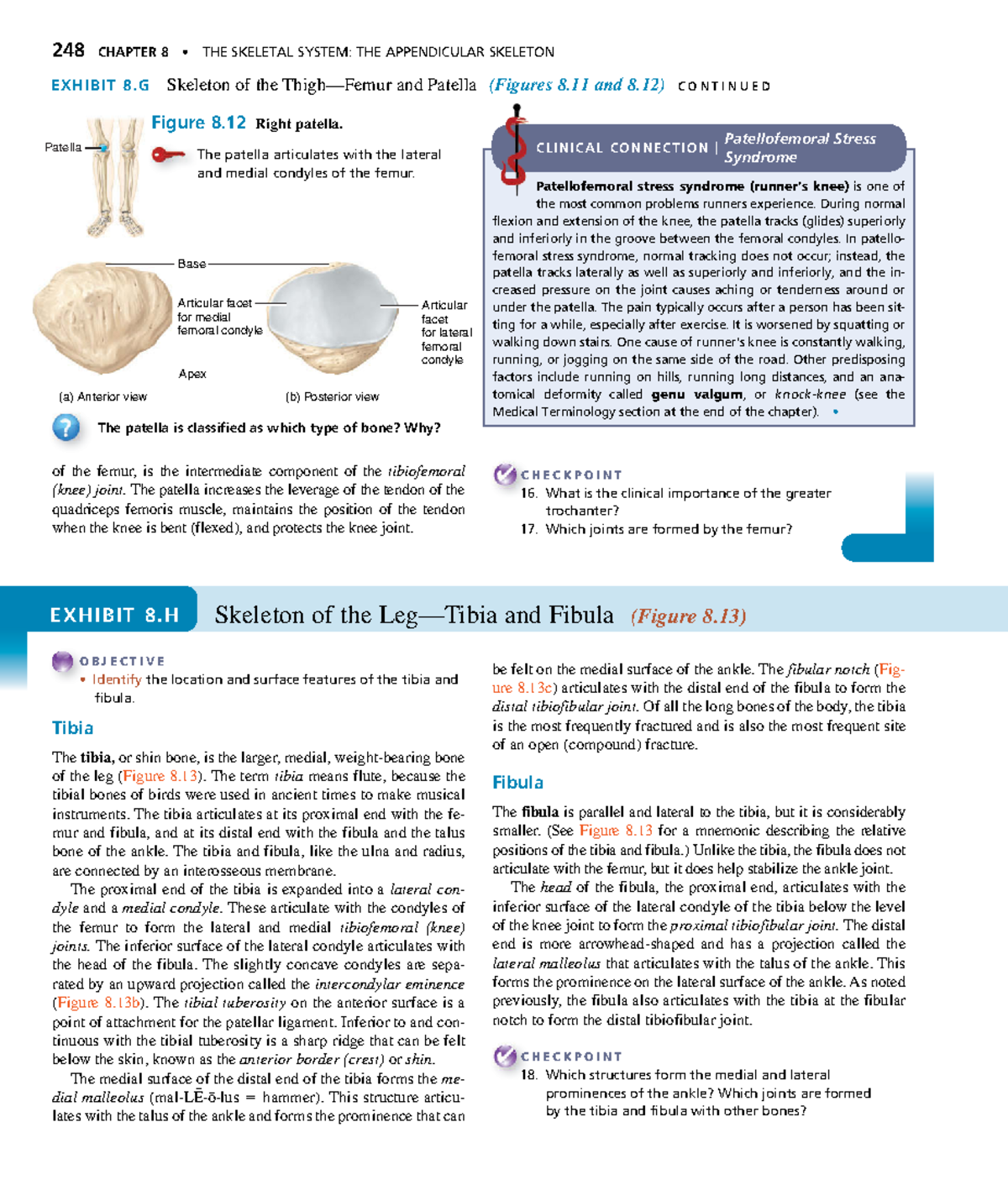 Anatomyand Physiology-94 - 248 CHAPTER 8 • THE SKELETAL SYSTEM: THE APPENDICULAR SKELETON ...