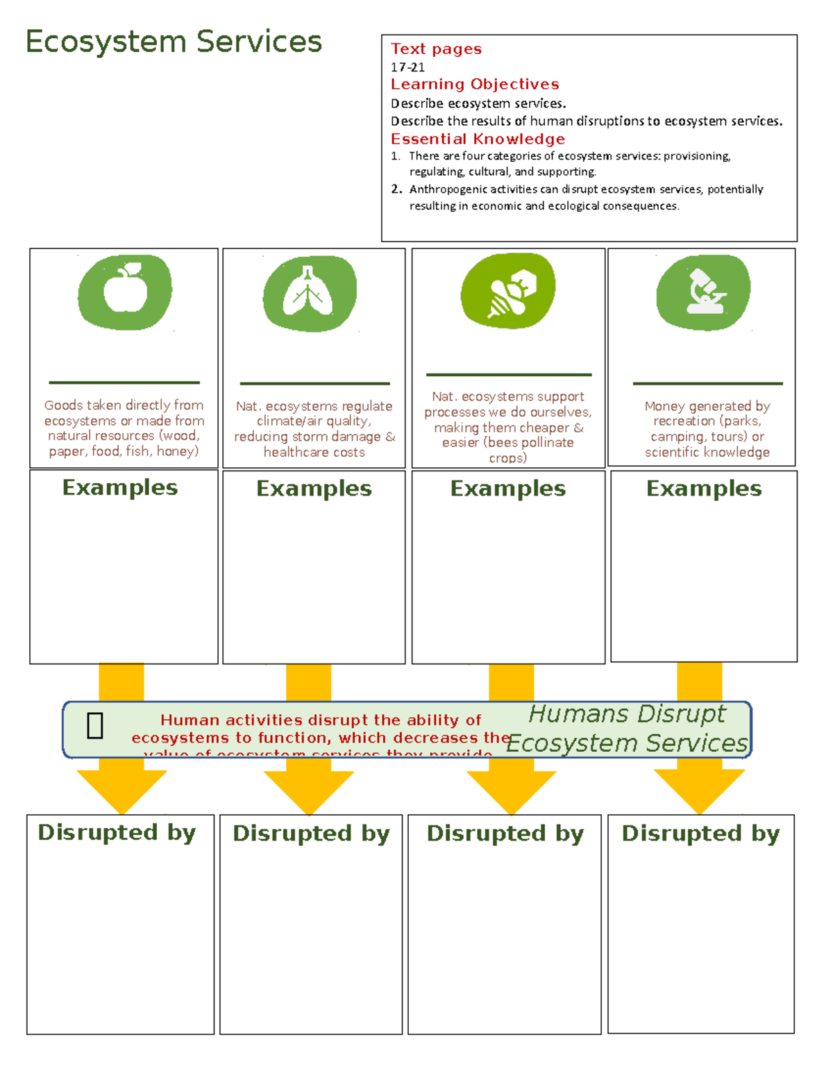 Ecosystem Services Describe The Results Of Human Disruptions To ecosystem-services-describe-the-results-of-human-disruptions-to