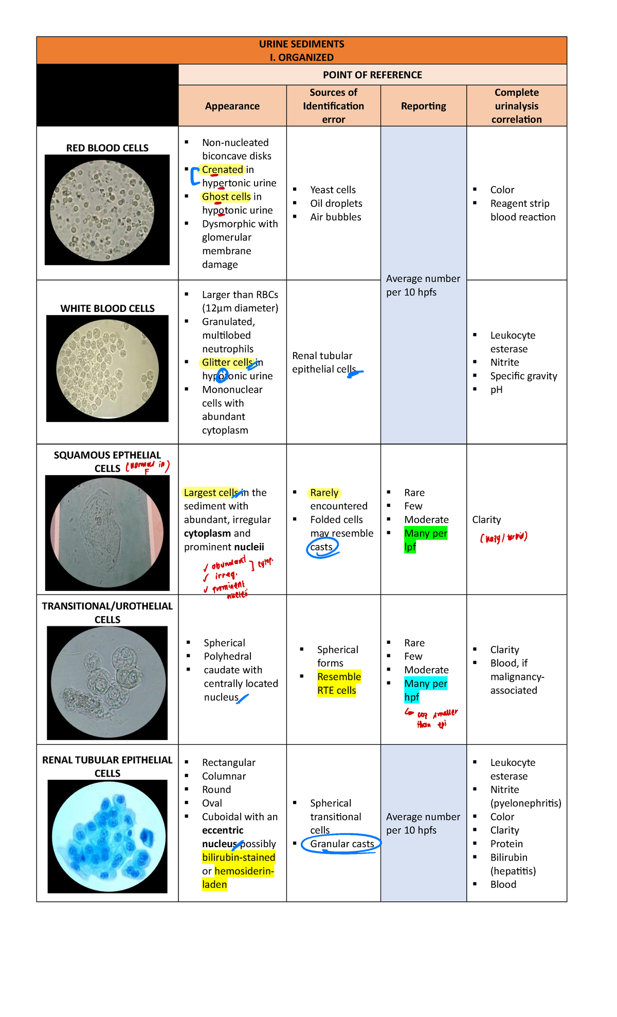 7. Urine Sediments - Summary Bachelor of Science in Medical Laboratory ...