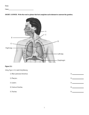 Isolation Precautions - BIOL 1214 - Studocu