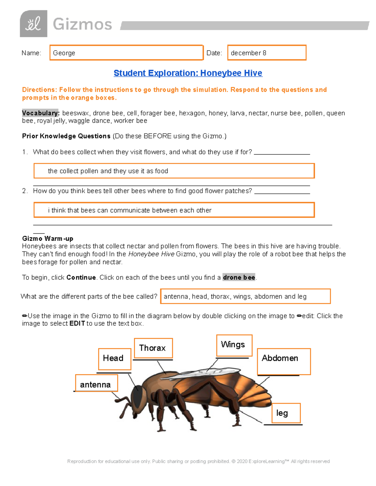 Copy of Copy of Honeybee Hive SE - Name: George Date: december 8 ...