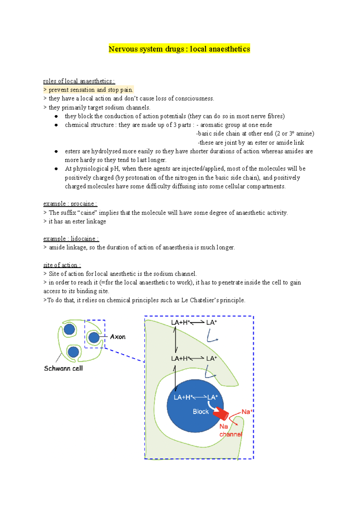 Local anaesthetic action - PHAR1001 - UCL - Studocu