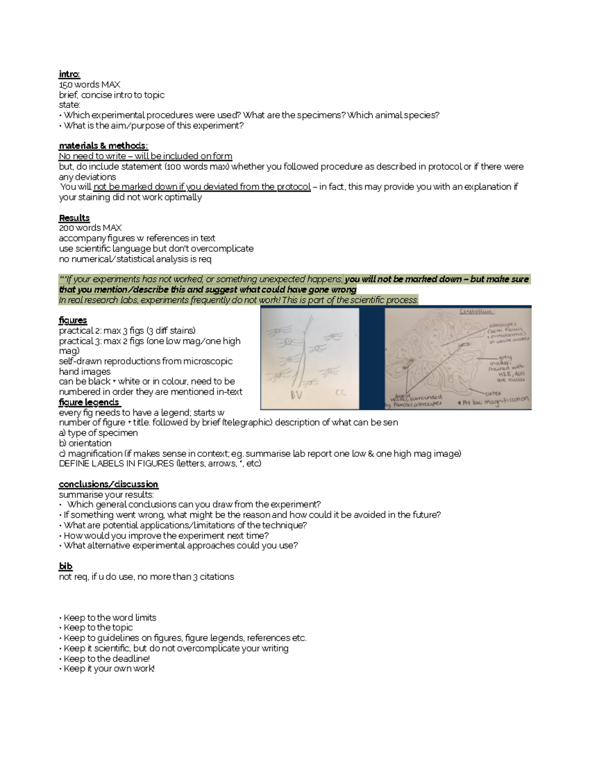 4BBY1030- How to write a lab report (formative) - intro: 150 words MAX ...