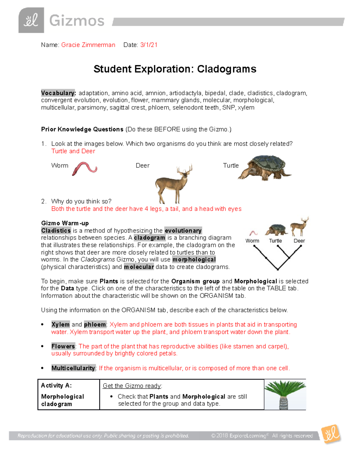 498390916-cladogram-gizmo - Name: Gracie Zimmerman Date: 3/1/ Student ...