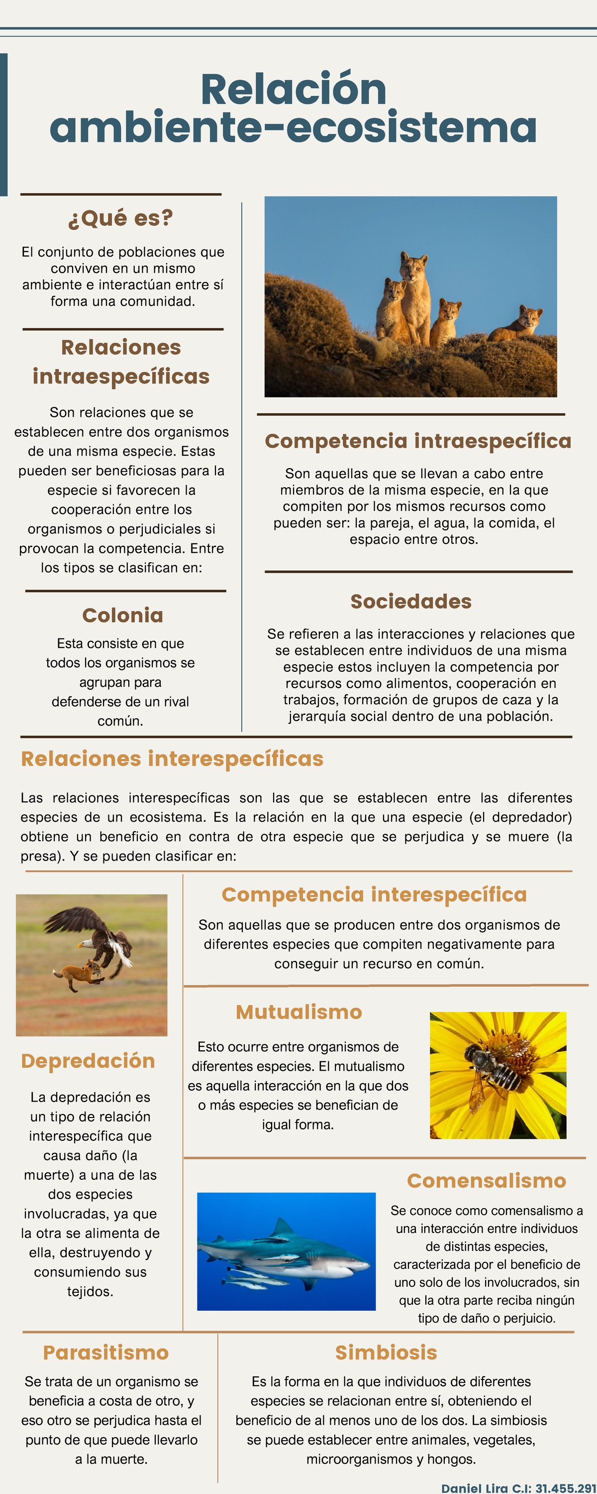 Relación Ambiente-Ecosistema - Competencia interespecífica Relaciones ...