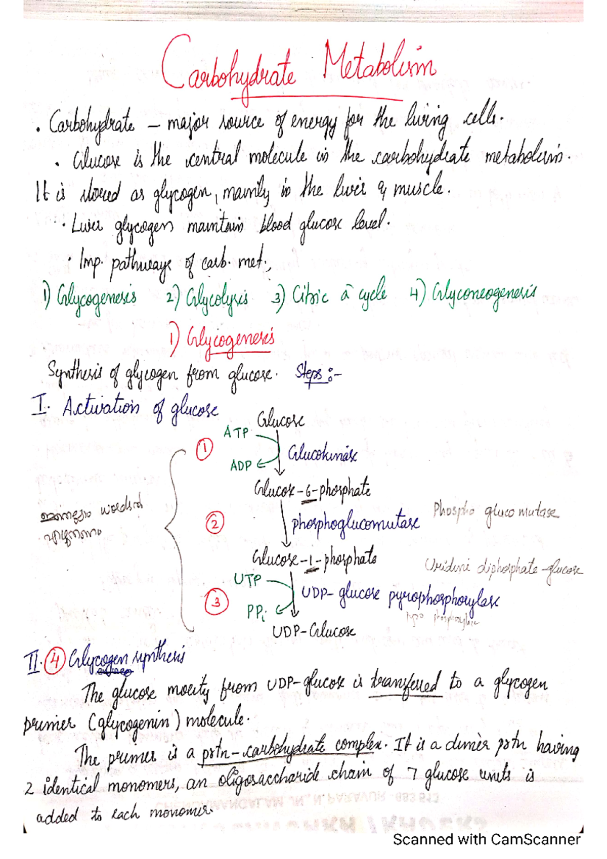 Carbohydrate lipids - Lecture notes - MSC Chemistry - Studocu