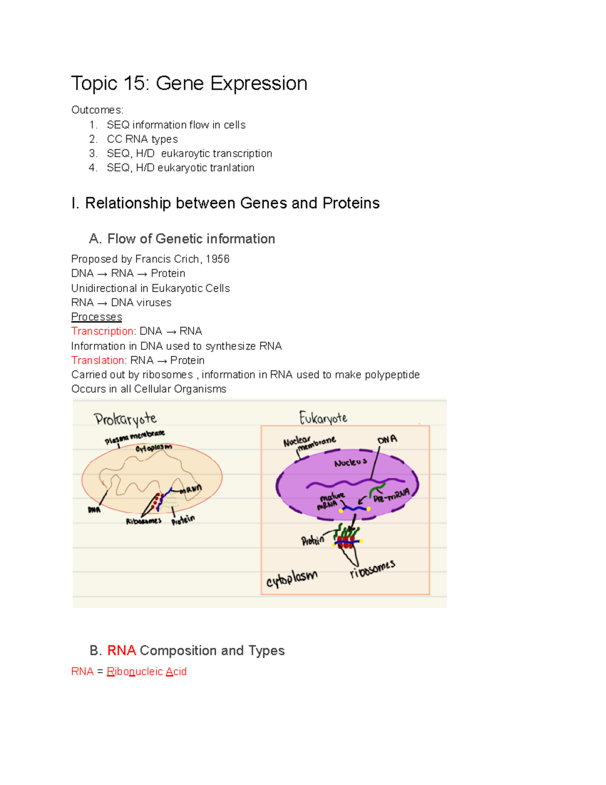 15- Gene Expression - Topic 15: Gene Expression Outcomes: 1. SEQ ...