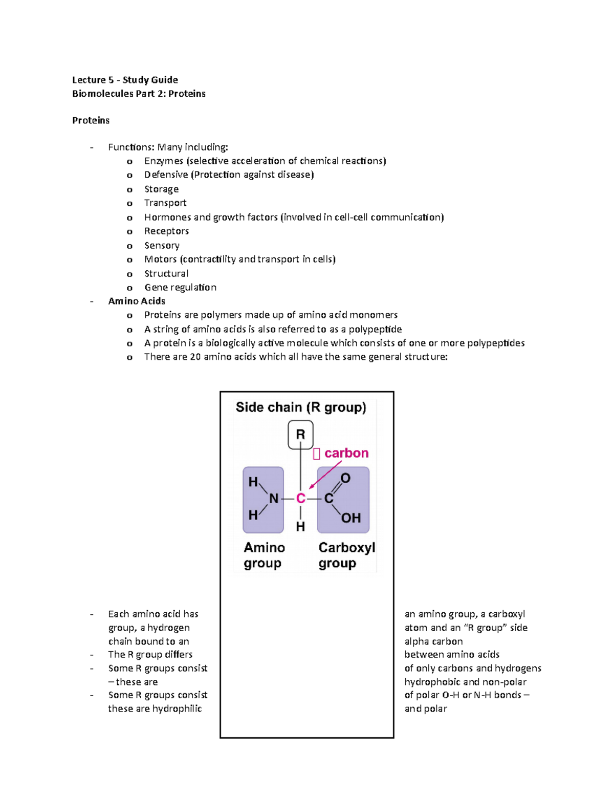 Lecture 5 Study Guide - Lecture 5 - Study Guide Biomolecules Part 2 ...