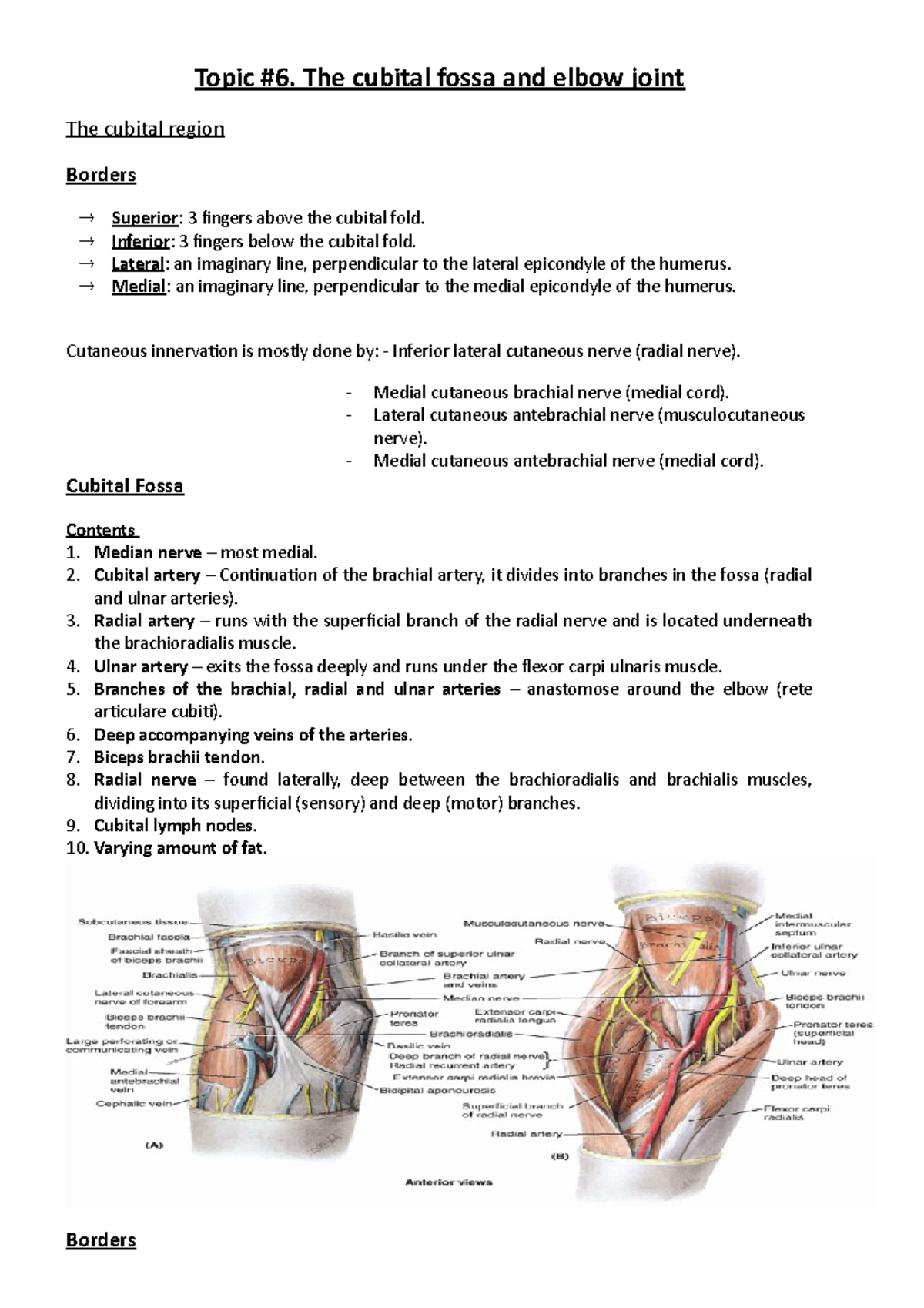 Topic #6 - Summary Essential Clinical Anatomy - 1 Topic #6. The cubital ...
