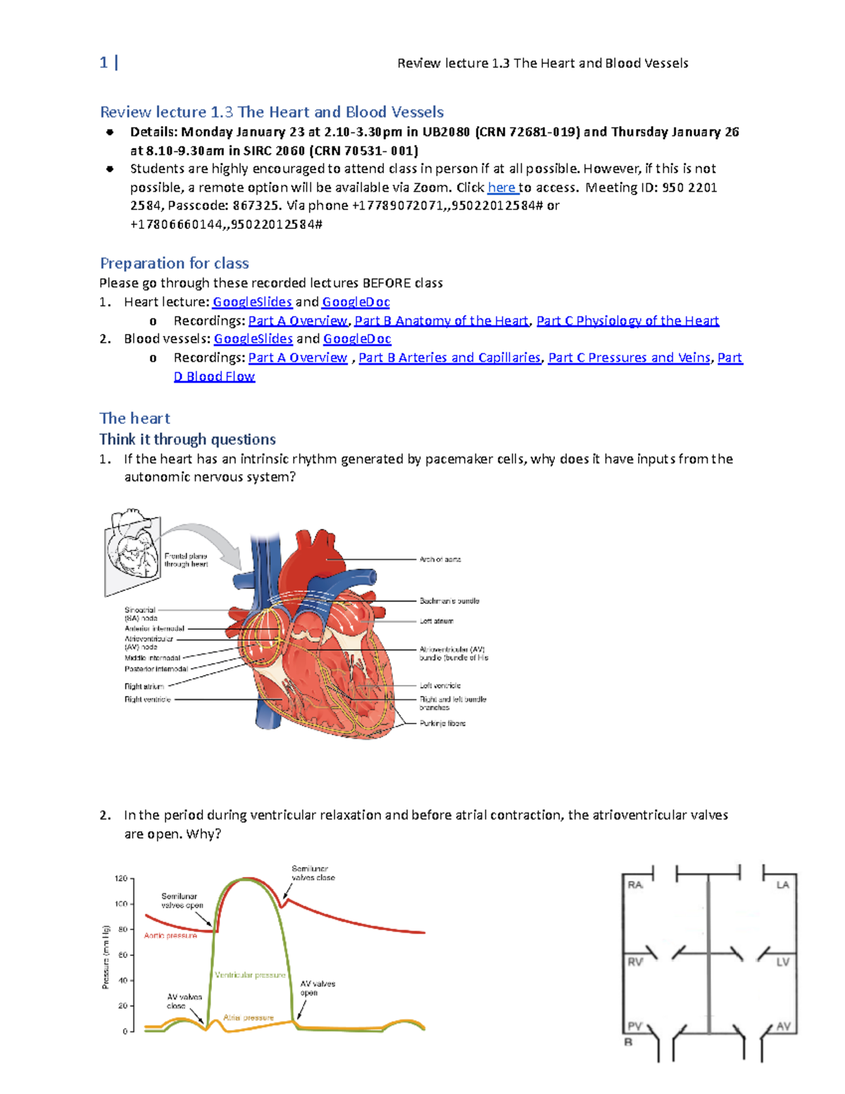 (filled) Review class 1.3 Heart and Blood vessels - Review lecture 1 ...