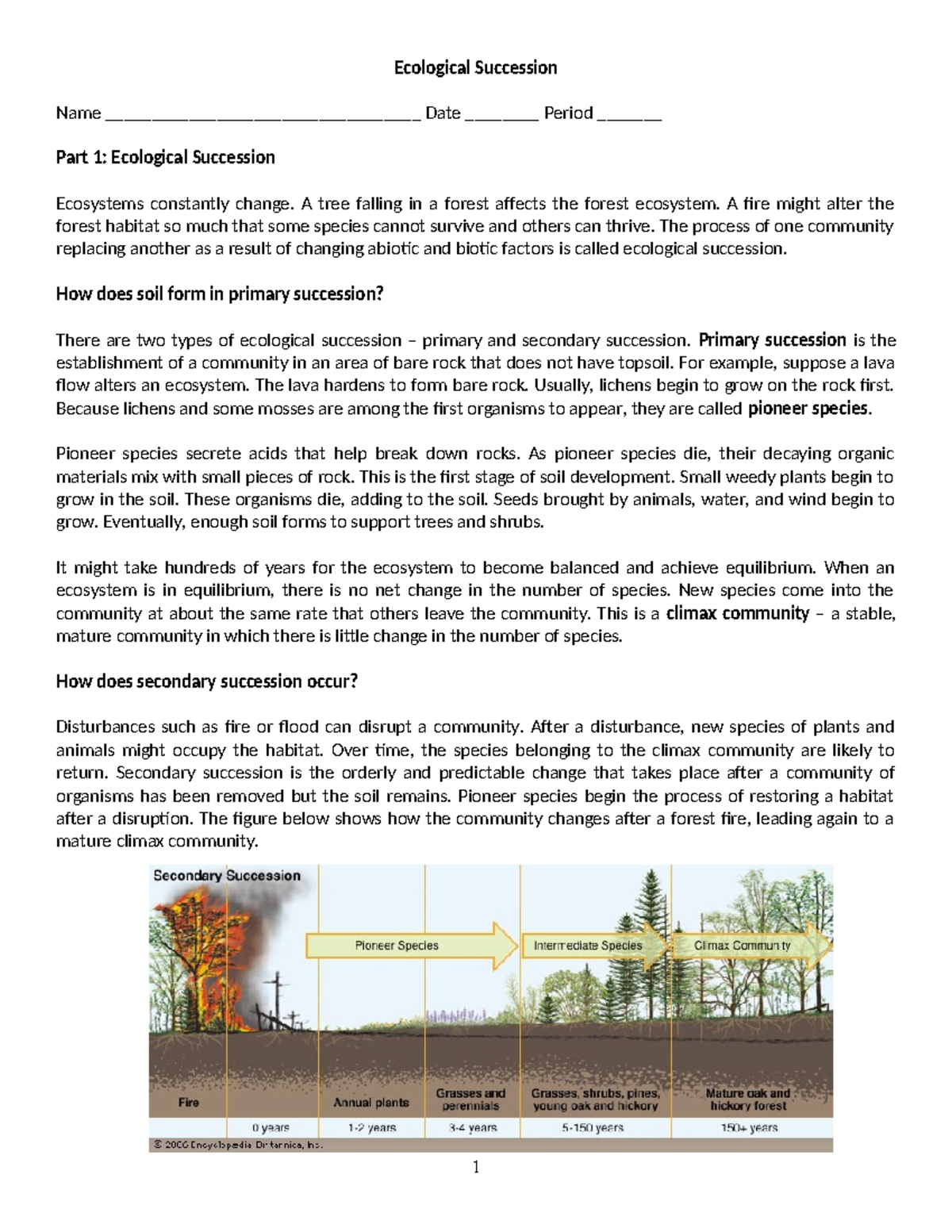 Ecological Succession - Ecological Succession Name ...