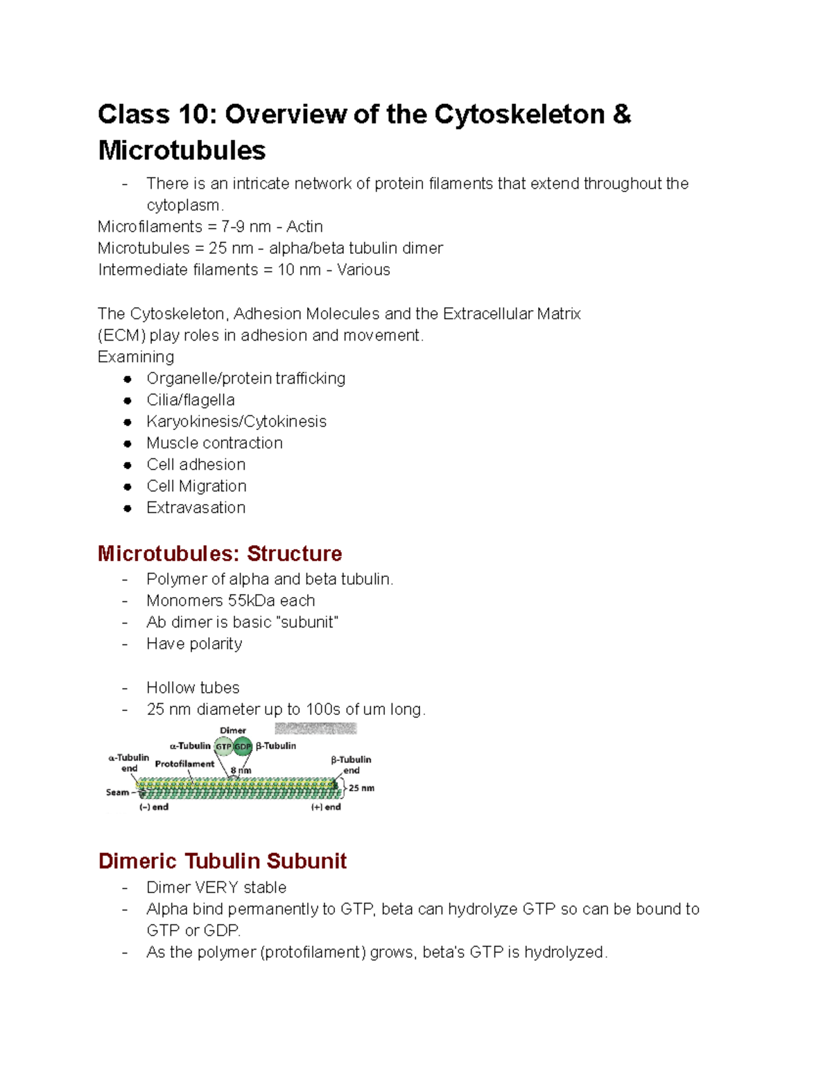 Cell Bio - Class 10: Overview of the Cytoskeleton & Microtubules There ...