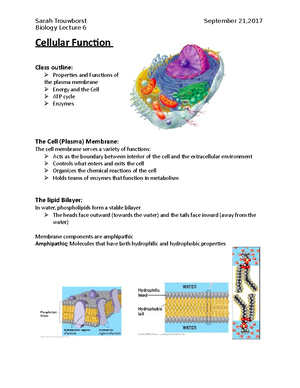 Bio lecture 5 - Cell structure - Biology Lecture 5 Cell structure Cells ...