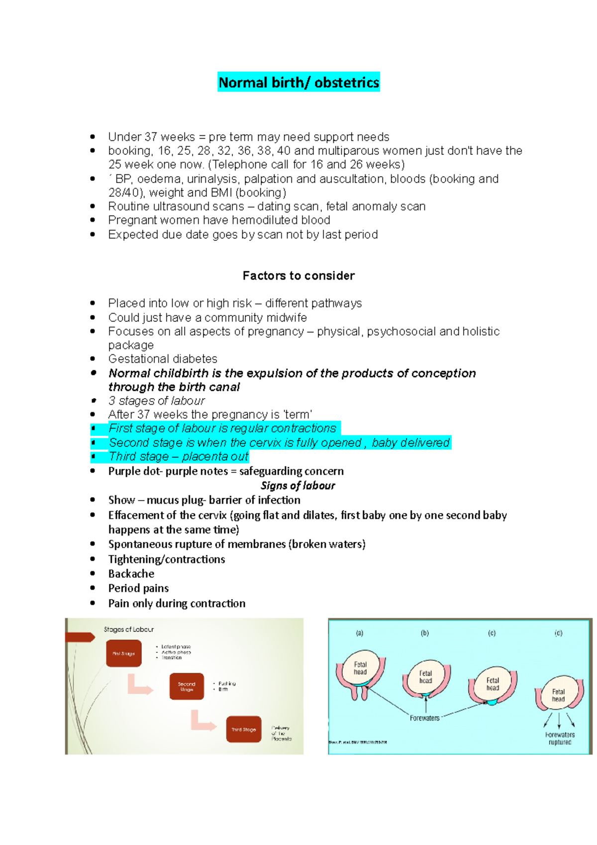 Normal birth - year 2 paramedic science notes - Normal birth ...