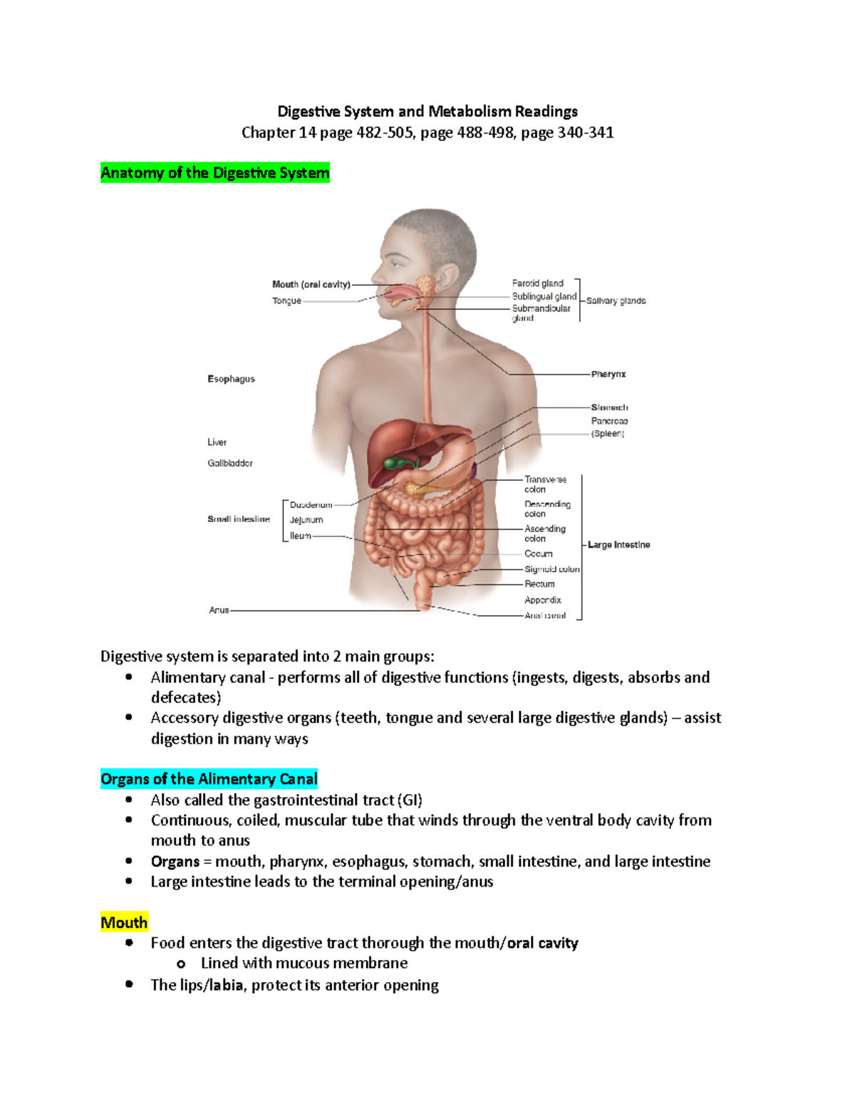 Week 5-6 Digestive System and Metabolism Readings - Digestive System ...