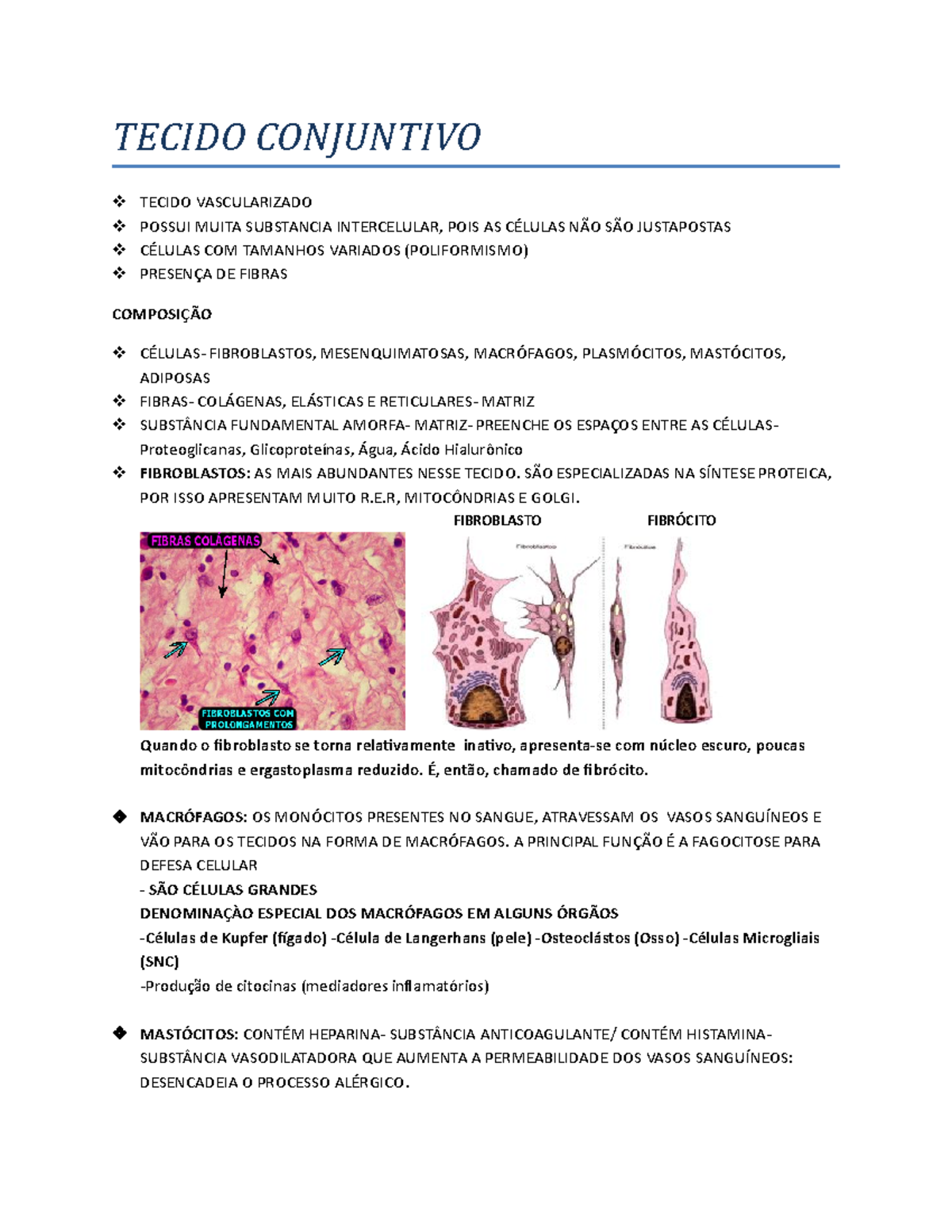 Tecido Conjuntivo - TECIDO CONJUNTIVO TECIDO VASCULARIZADO POSSUI MUITA ...