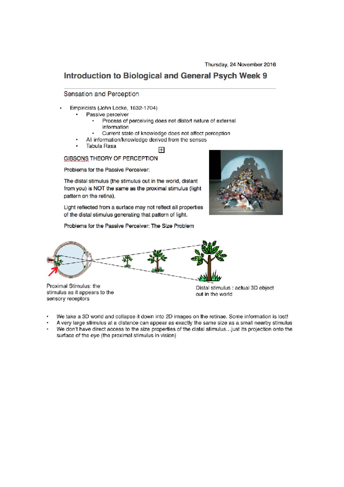 Sensation and perception - Empiricists (John Locke, Passive perceiver ...