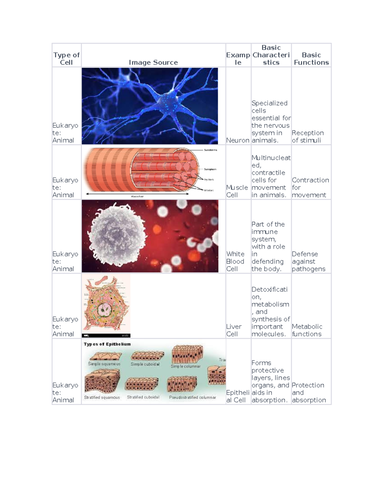 Exersice 1 life science - Type of Cell Image Source Examp le Basic ...