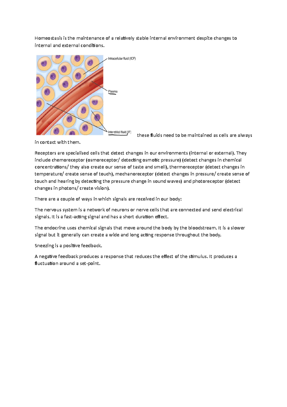Bio module 3 biobytes - notes - Homeostasis is the maintenance of a ...