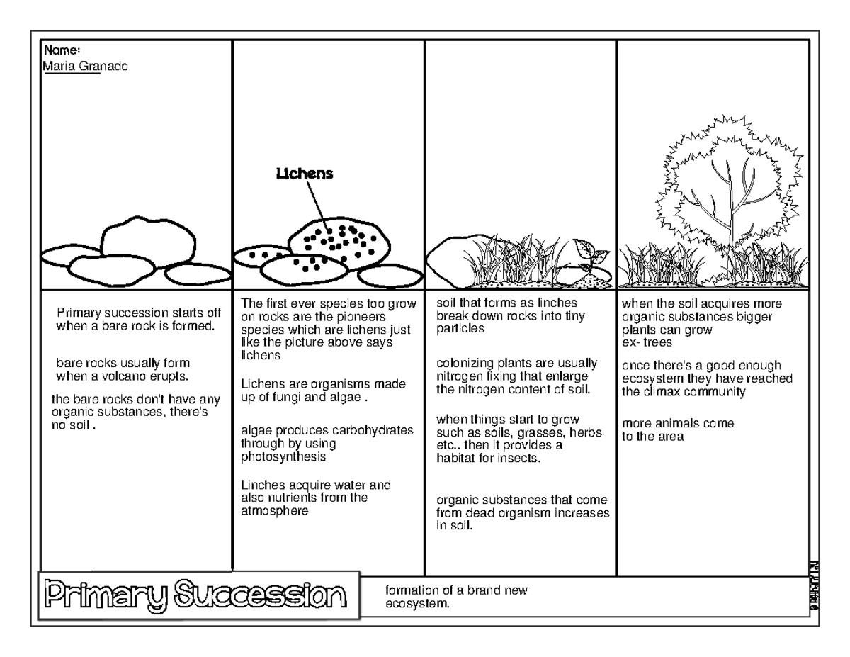 Succession updated worksheets - Maria Granado Primary succession starts ...