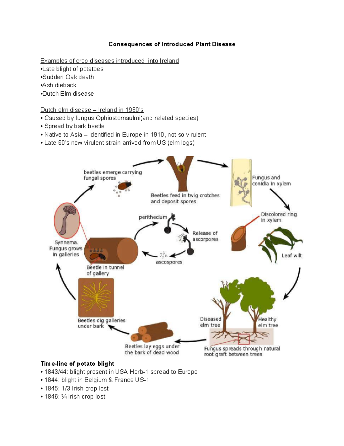 Consequences of Introduced Plant Disease - Consequences of Introduced ...