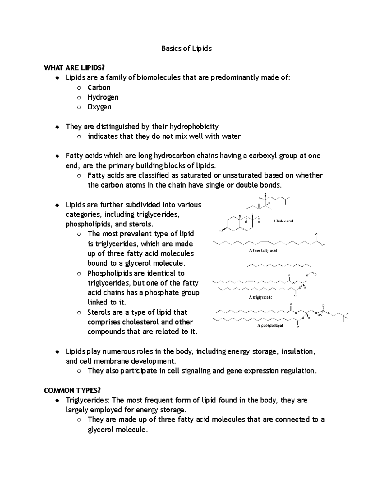 Basics of Lipids - Organic Chemistry - Basics of Lipids WHAT ARE LIPIDS ...