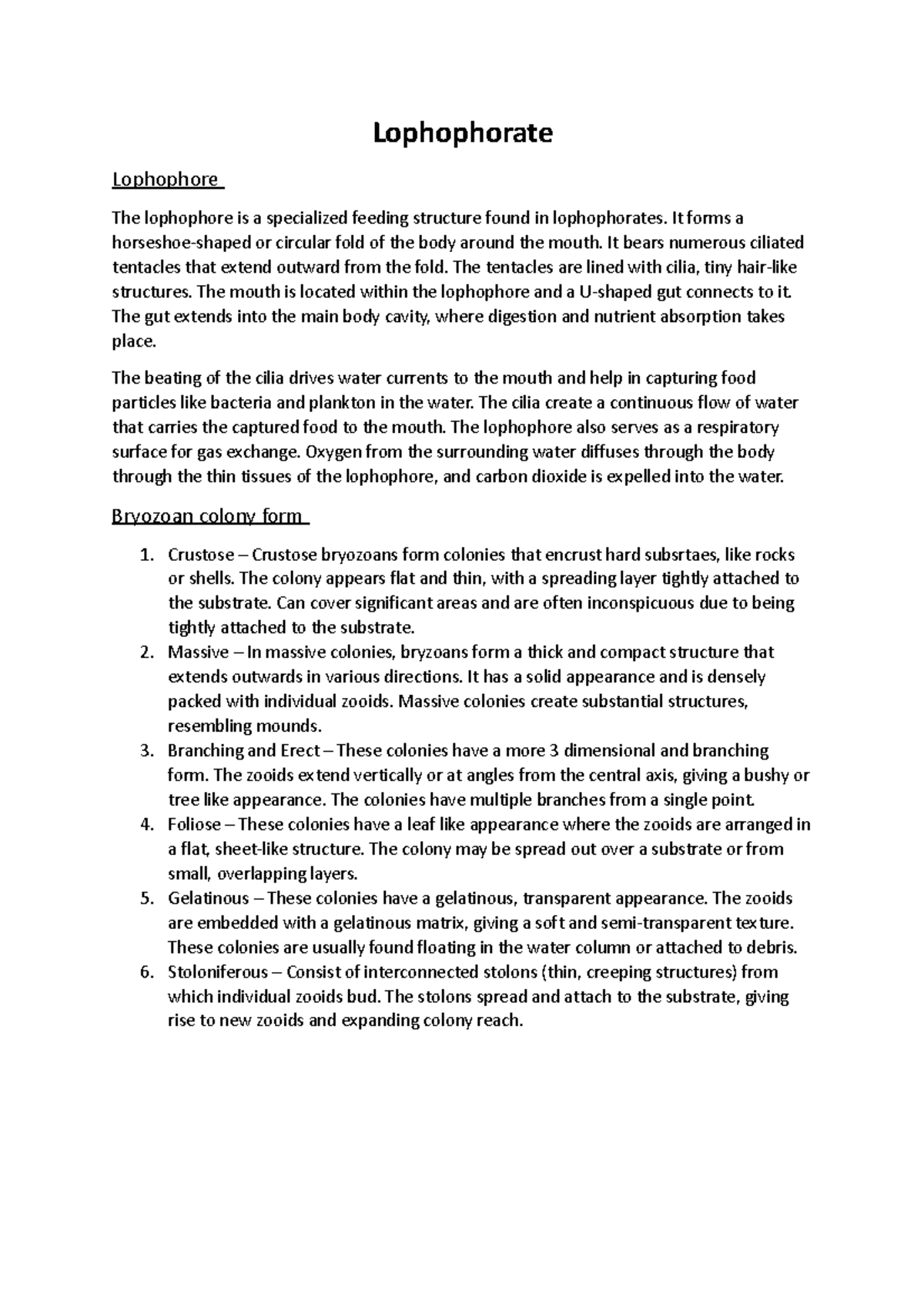 Lophophorates - Lecture Notes - Lophophorate Lophophore The lophophore ...