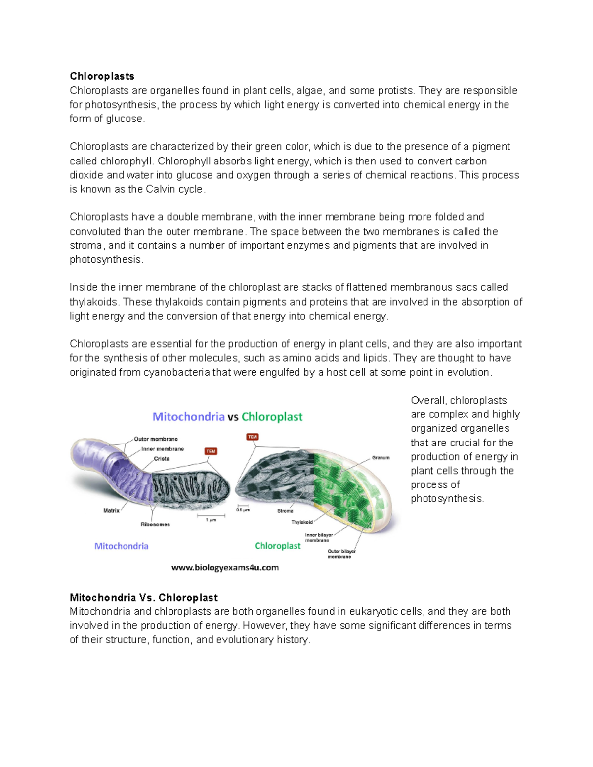 Bio Ch2. P3 - Extremely detailed notes about the cell structure and ...