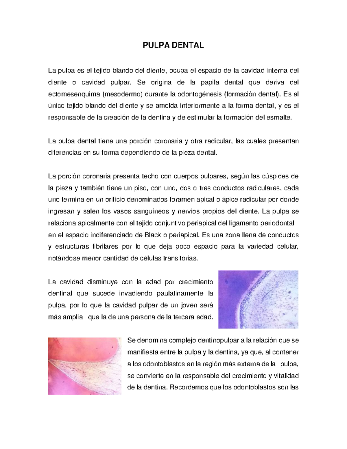 Pulpa Dental - RESUMEN - PULPA DENTAL La pulpa es el tejido blando del ...