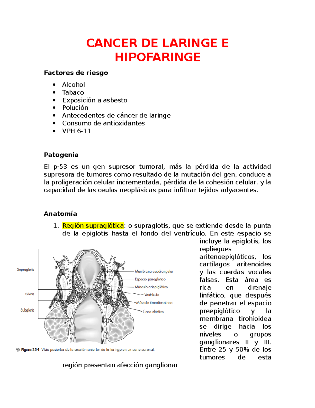 Cancer DE Laringe E Hipofaringe - CANCER DE LARINGE E HIPOFARINGE ...