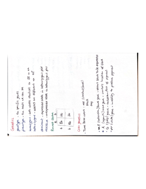 Age distinctions - Professor’s name : Jason Contreras - ASCI 51 - Studocu