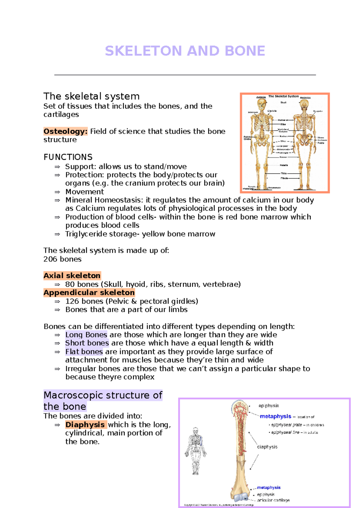 Skeleton AND BONE - Lecture notes 5 - SKELETON AND BONE The skeletal ...