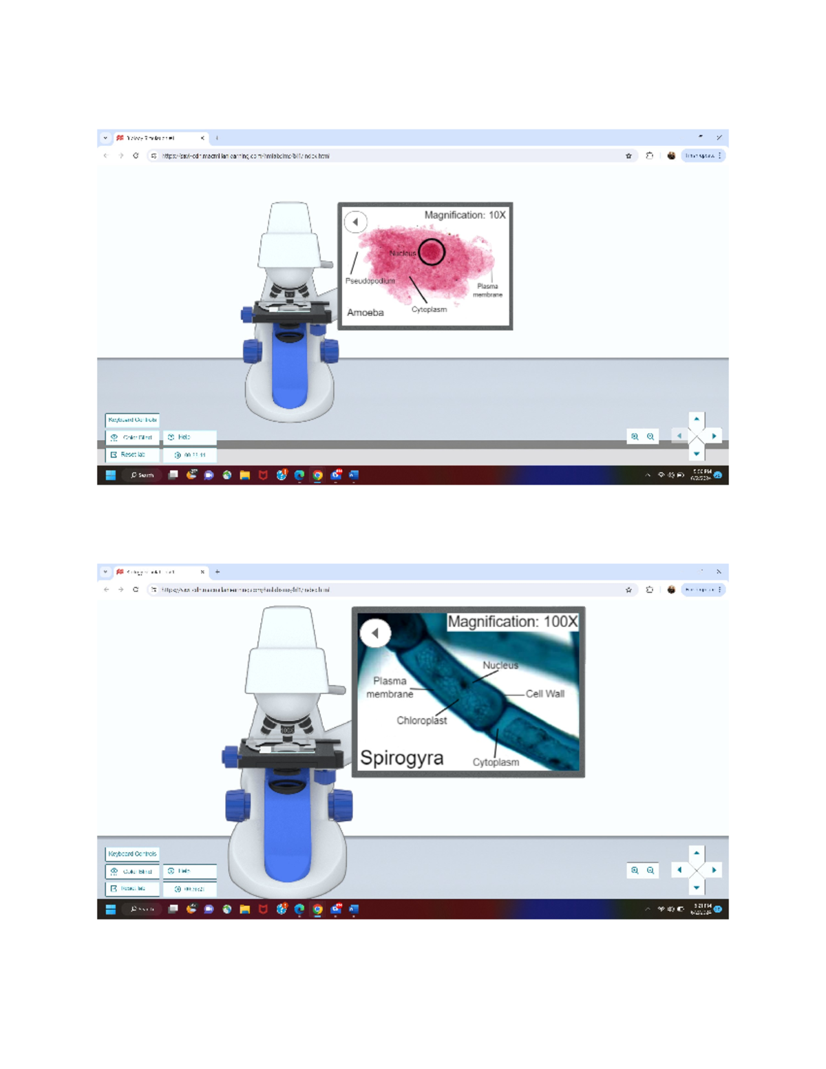 Bio pics - lab pictures for biology 1005 - m Biology Simulation x ...