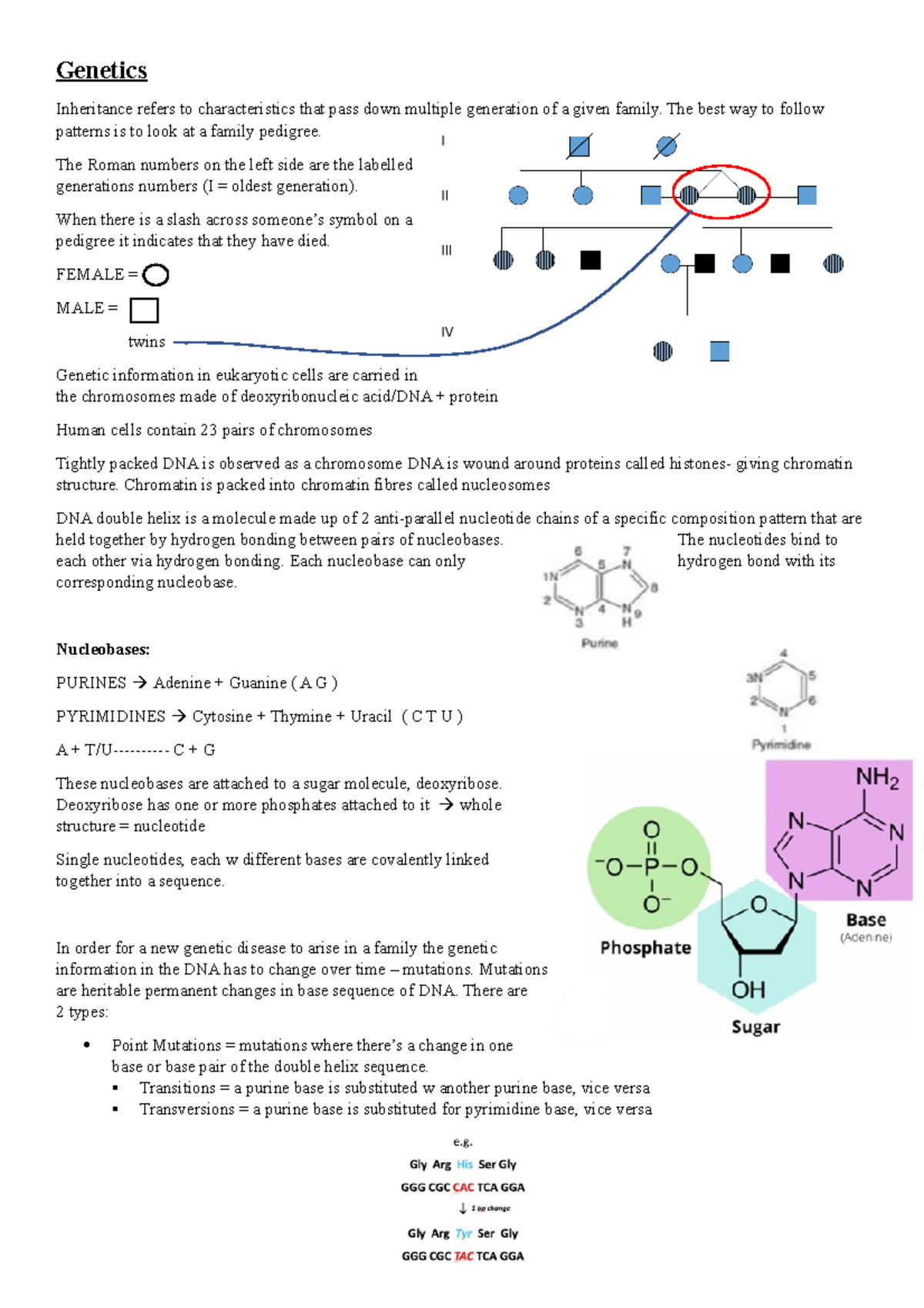Genetics - Genetics Inheritance refers to characteristics that pass ...
