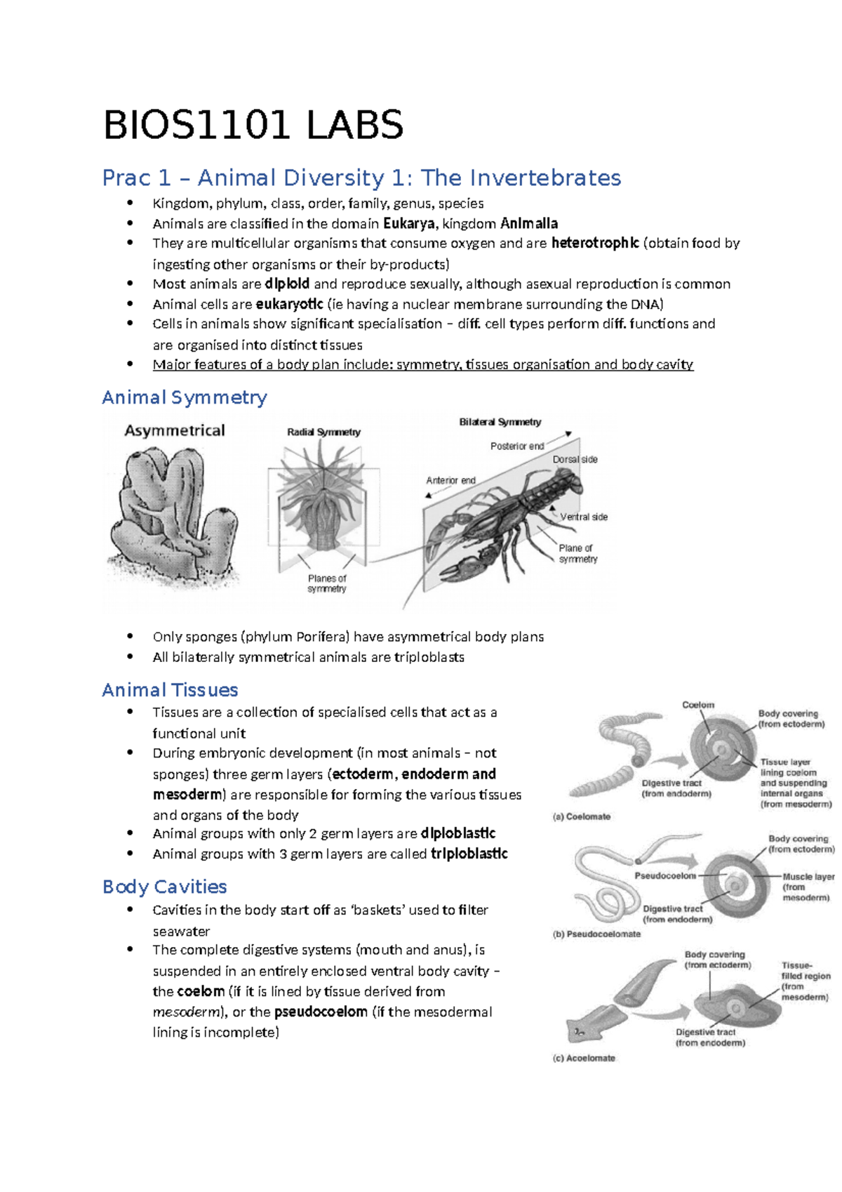 BIOS1101 LABS - LAB - BIOS1101 LABS Prac 1 – Animal Diversity 1: The ...