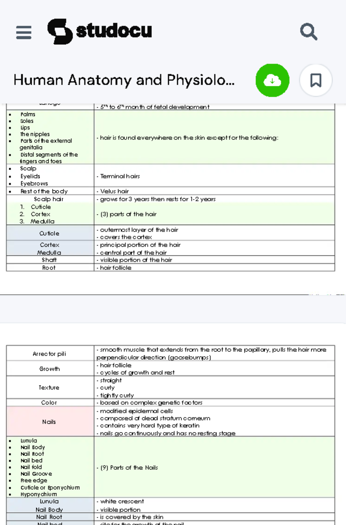 Human Anatomy and Physiology Prelims Reviewer - Human Anatomy and ...