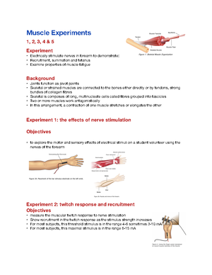Reflexes Experiment - Lab Test - Reflexes and reaction times Background ...