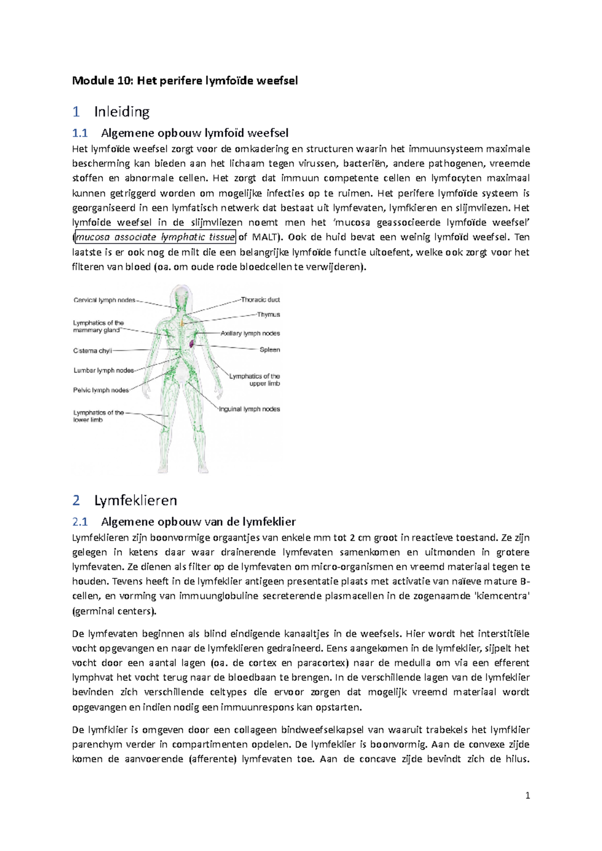 Samenvatting module 10 perifere lymfoïde weefsel - Module 10: Het ...