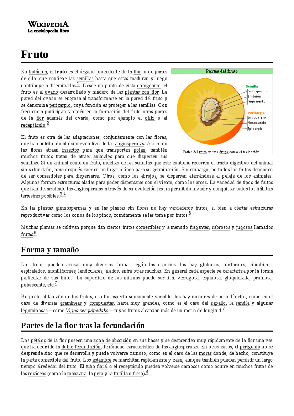 Fruto - Botanica - Partes del fruto Partes del fruto en una drupa como ...