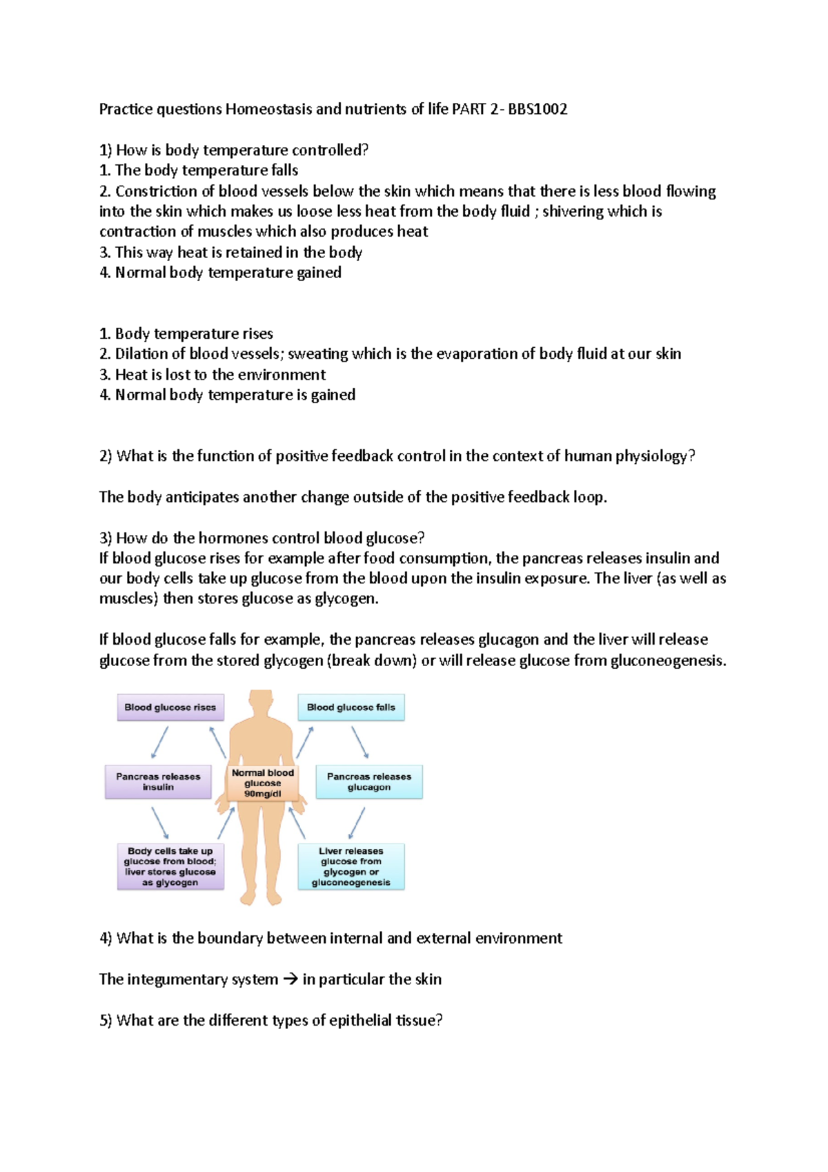 Practice questions Homeostasis and nutrients of life PART 2- BBS1002 ...