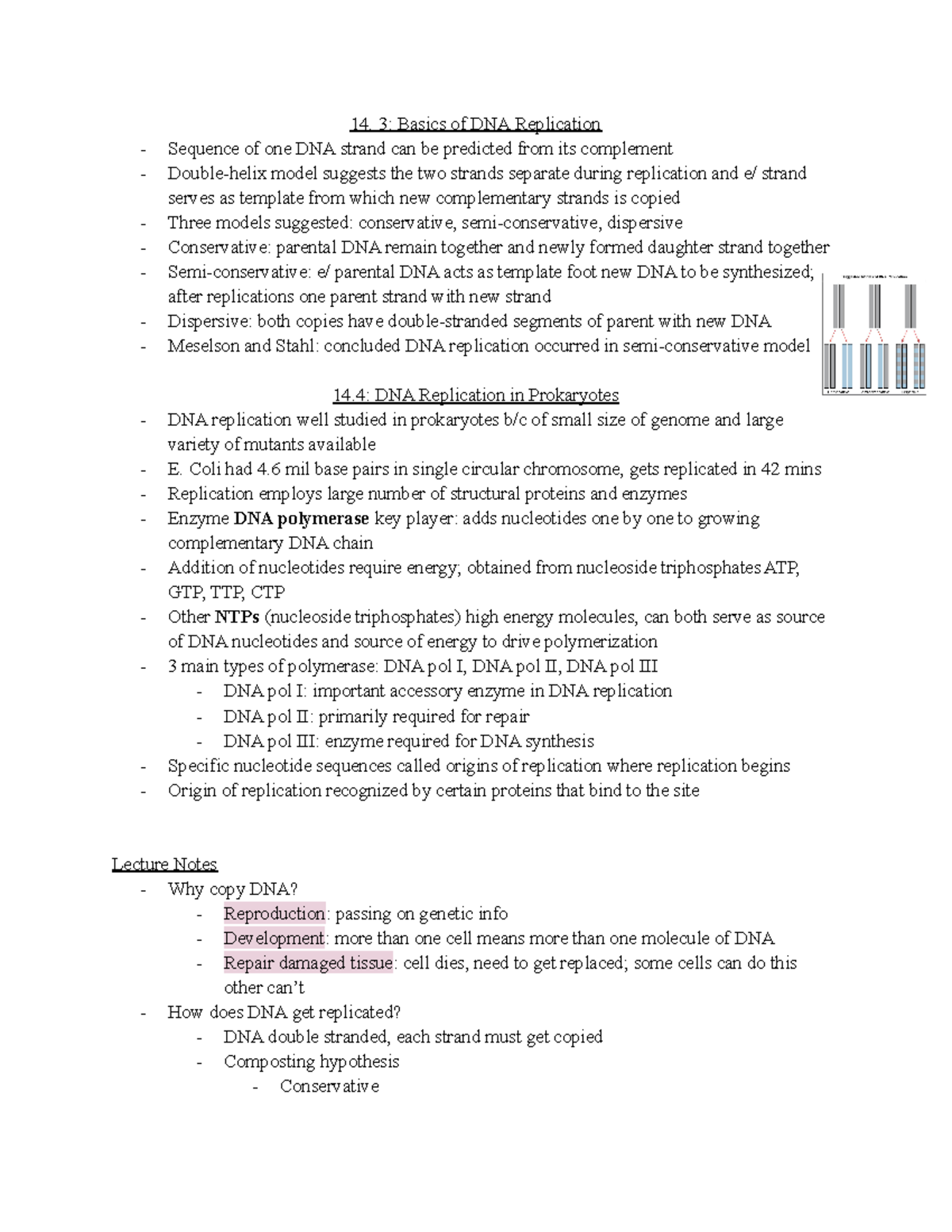 BIOL 171 14.3-14.4 Notes - 3: Basics of DNA Replication Sequence of one ...