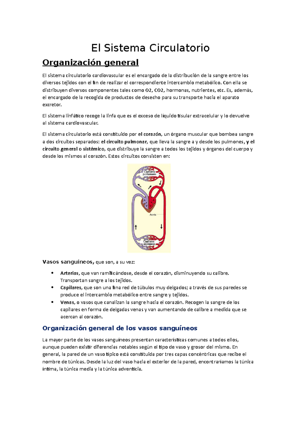 TEMA 39 BCH - Lección y preguntas. - El Sistema Circulatorio general El ...